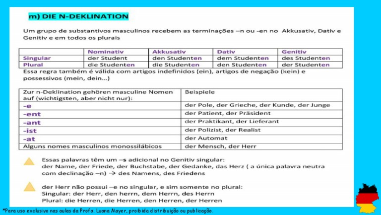 B1.1 - Die N-Deklination | PDF