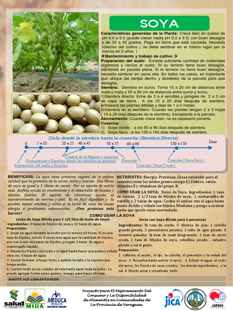 02 Soya | PDF | Siembra | Haba de soja