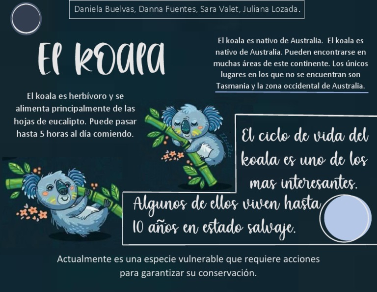 Infografia Koala. | PDF