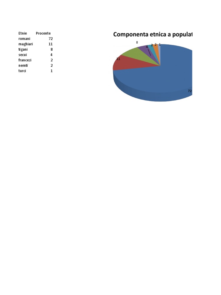 Fisa Excel Tic | PDF