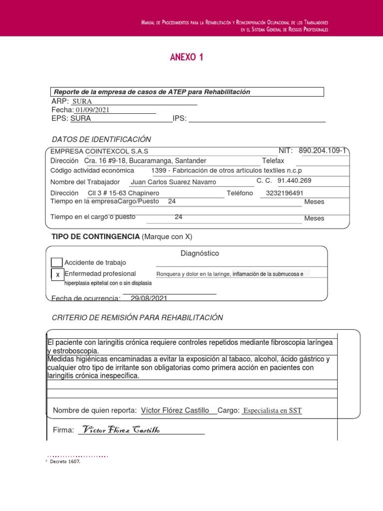 Victor Florez Castillo | PDF