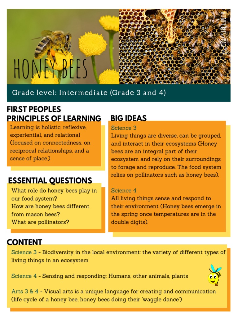 Honey Bees: Ecosystem Role and Lessons | PDF | Honey Bee | Bees