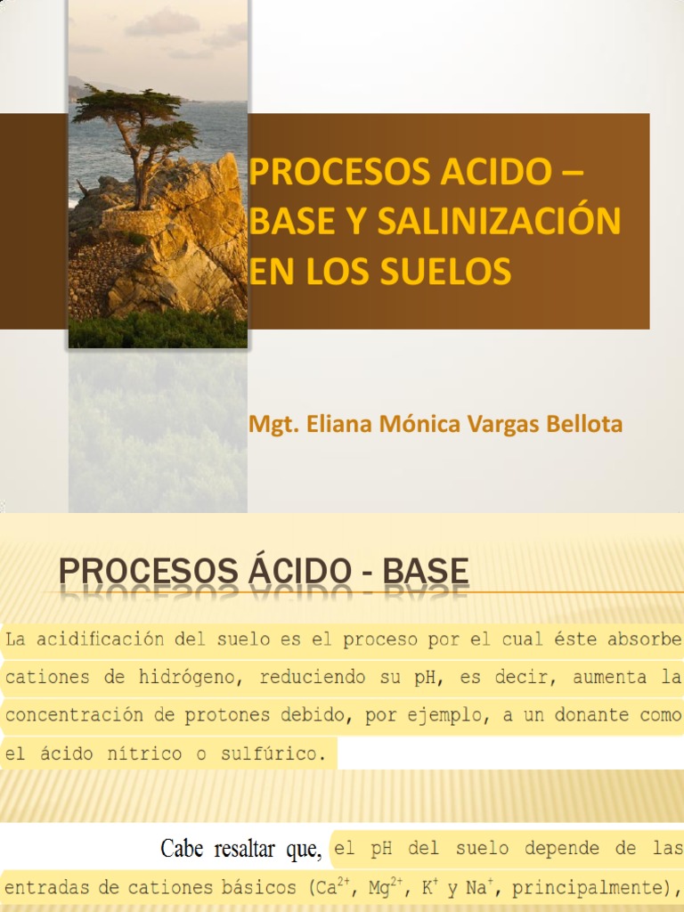 Procesos Acido-Base y Salinizacion Del Suelo | PDF
