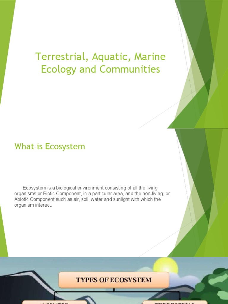 Terrestrial, Aquatic, Marine Ecology and Communities | PDF | Grassland ...