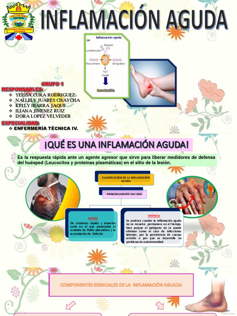 Inflamación Aguda: Características y Etapas | PDF | Inflamación | Biología