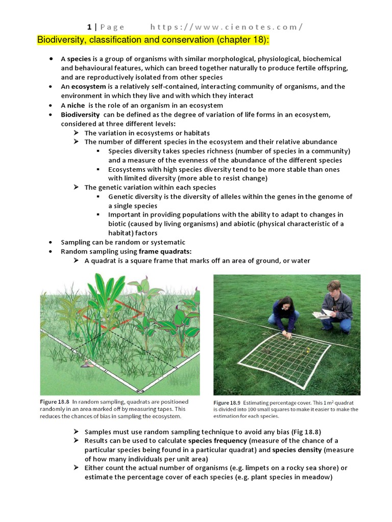 Biodiversity Classification and Sampling Techniques | PDF | Cell ...