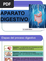 ESÒFAGO (Anatomía, Embriología, Histología y Fisiología) | PDF ...