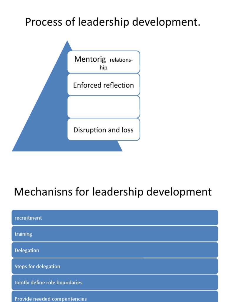 Leadership Development Process Guide | PDF | Self-Improvement