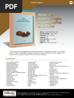 Programa B15 - (Imprimible) 2024-1 | PDF | Alimentos