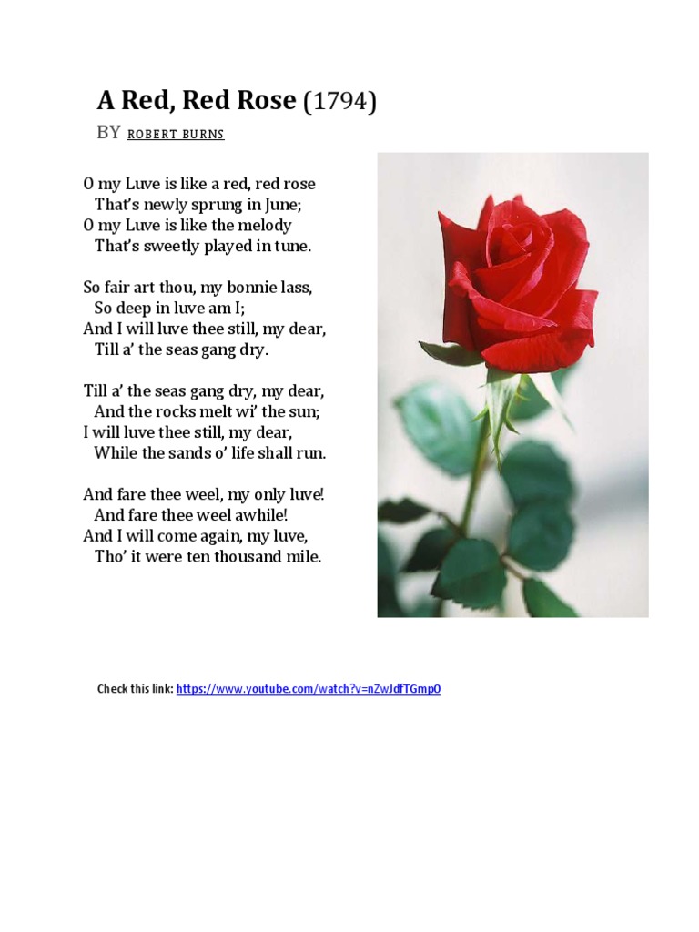 A Red, Red Rose by Robert Burns | PDF | Art | Poetry