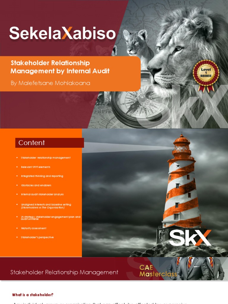 Stakeholder Managment | PDF | Internal Audit | Audit