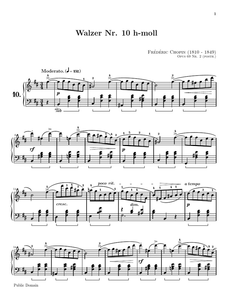 Chopin -Walzer Nr. 10 in H-Moll op69 n2 | Rhythm And Meter | Performing Arts