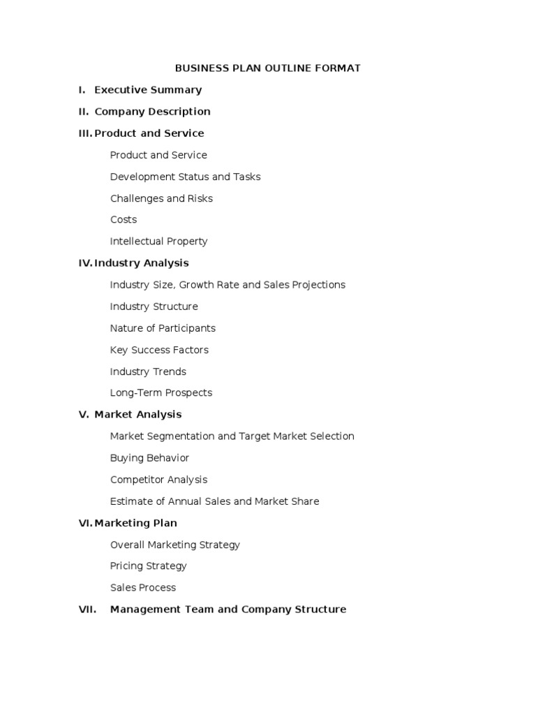 Business Plan Outline Format 2 | PDF