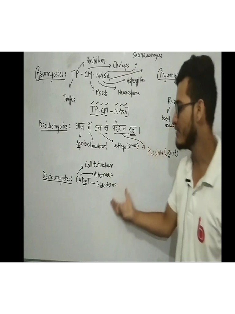 Trick To Learn All Examples of Biological Classification. | PDF