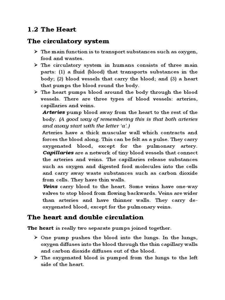 1.2 The Heart (Notes) | PDF