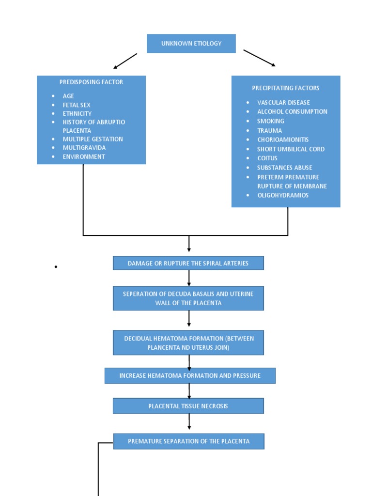 Schematic Diagram | PDF | Medical Specialties | Clinical Medicine