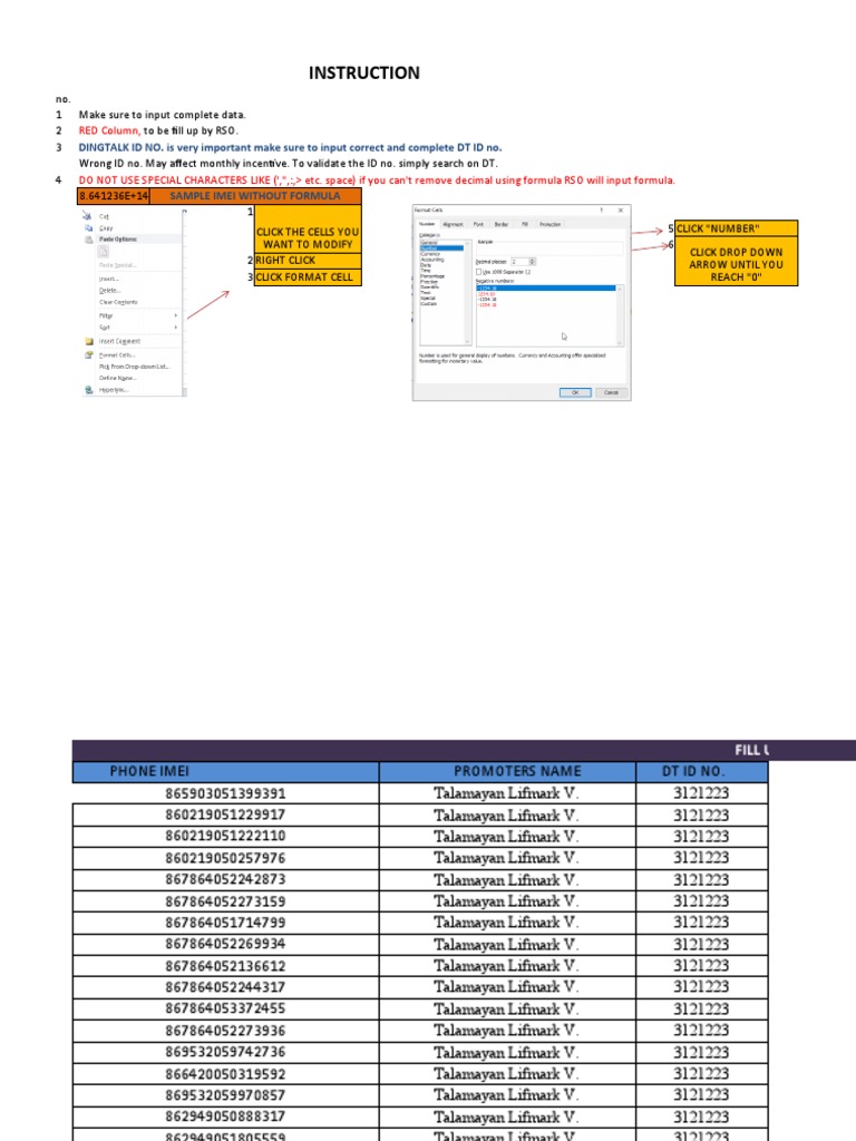 Data Entry Guidelines for Promoters | PDF | Computing