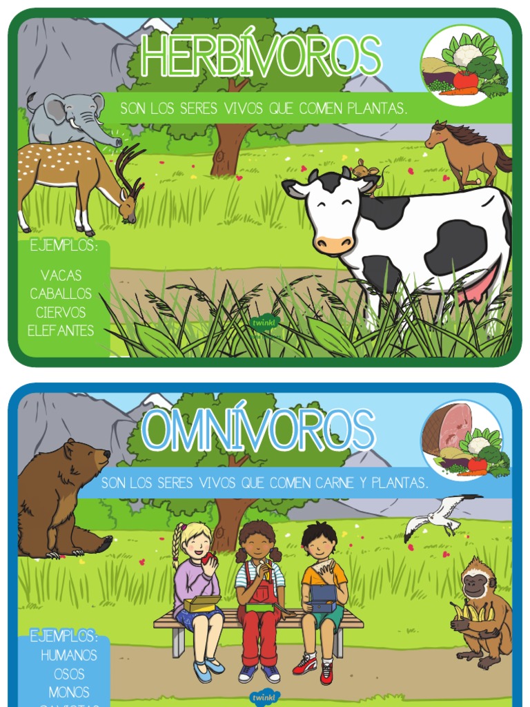 Es T SC 004 Seres Vivos Herbivoros Carnivoros y Omnivoros | PDF ...