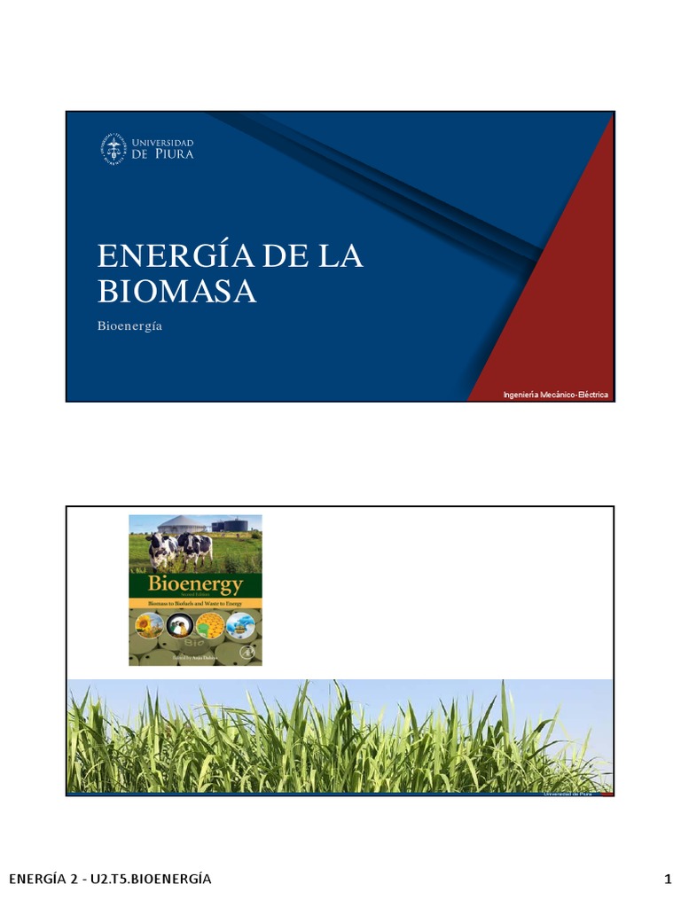 U2 t5 Energía de La Biomasa 2 | PDF | Recursos energéticos | Bioenergía