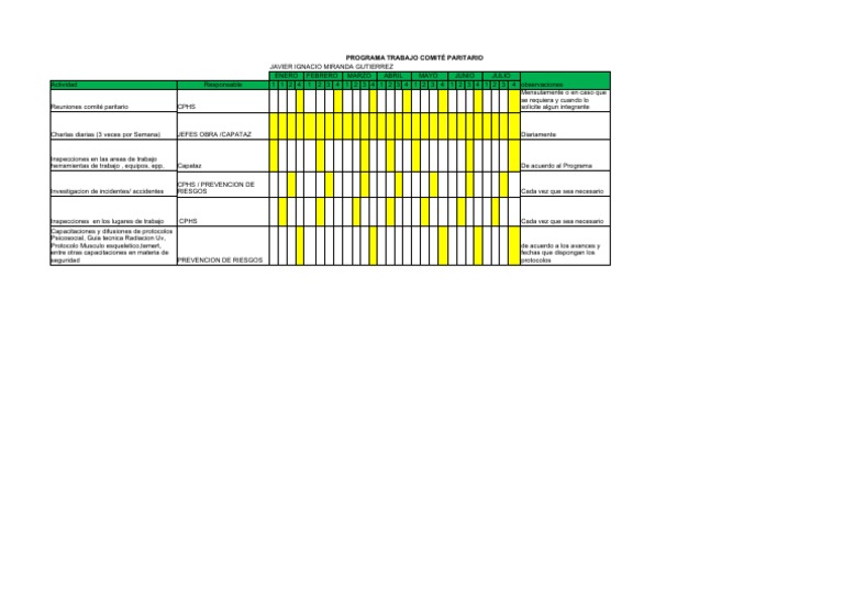 Programa de Trabajo Comite Paritario | PDF