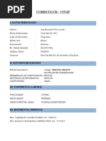 CURRICULUM VITAE BASICO Paola | PDF