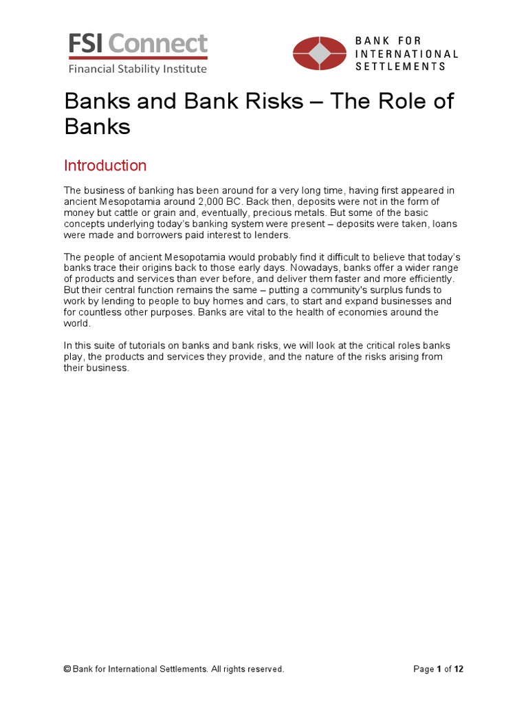 Banks and Bank Risks The Role of Banks | PDF | Banks | Money
