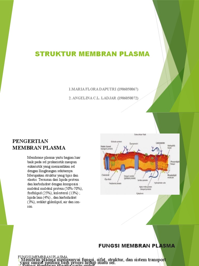 Struktur Membran Plasma | PDF