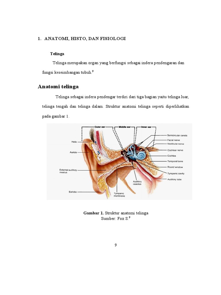 Menghubungkan Anatomi dan Fisiologi Telinga | PDF