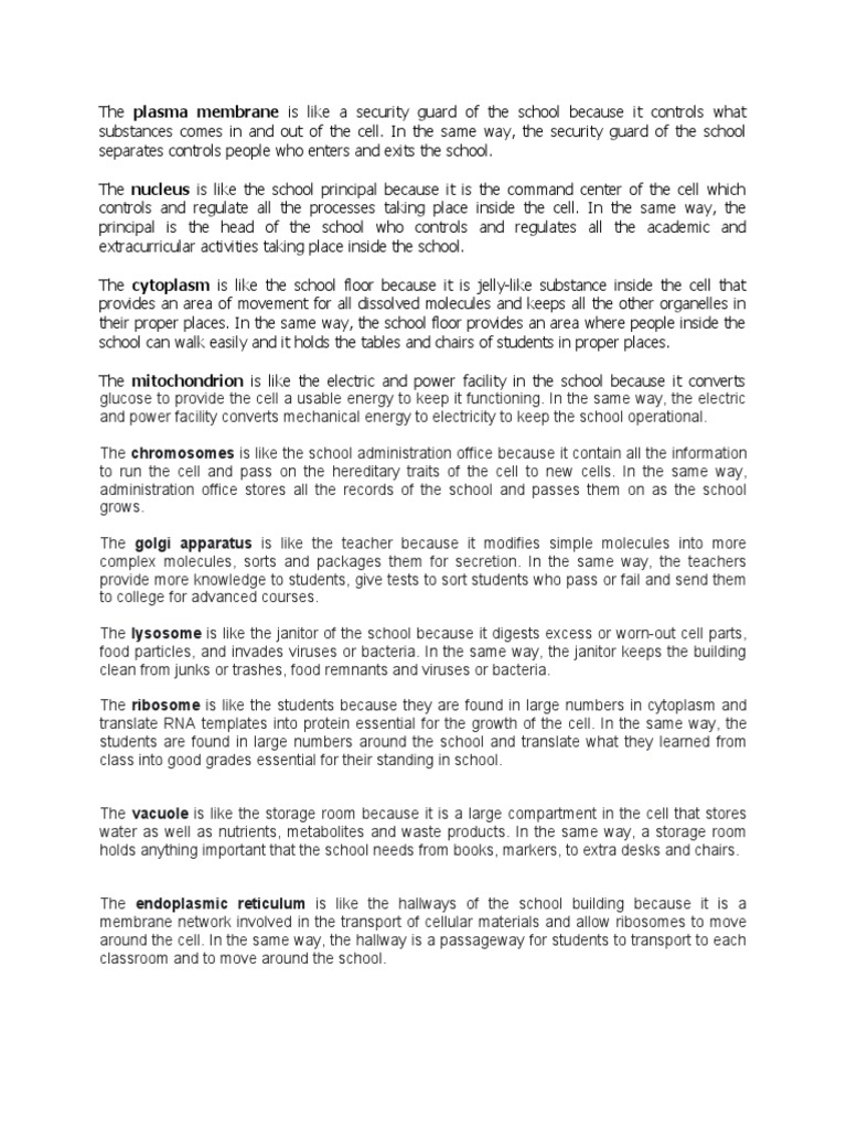 Cell Analogy | PDF | Cell (Biology) | Cytoplasm