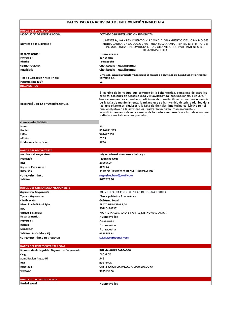 Formato 12 Sam 36173 | PDF