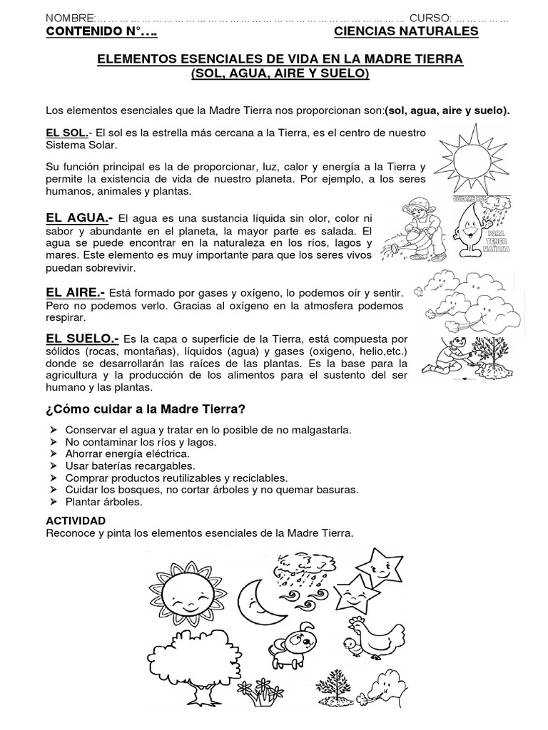 Elementos Esenciales | PDF | Ciencias sociales | Ciencia y matemáticas