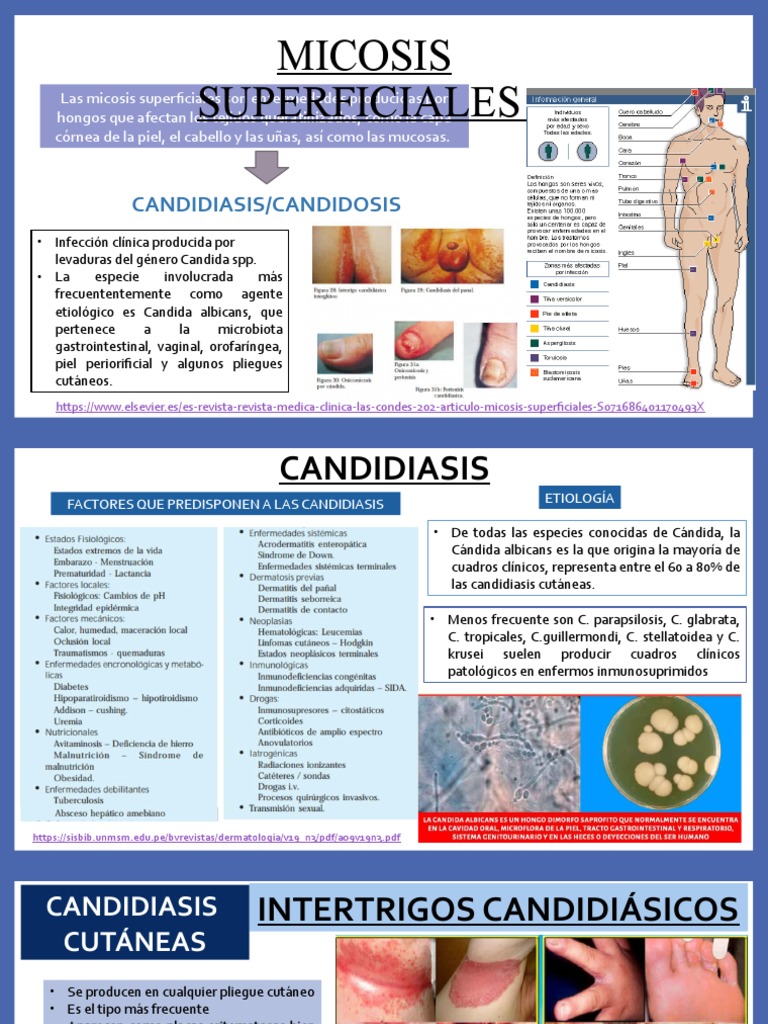 Candidiasis Cutánea: Tipos y Síntomas | PDF | Candidiasis | Candida (hongo)