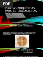 Pruebas Bioquimicas para Enterobacterias | PDF | Química | Las bacterias