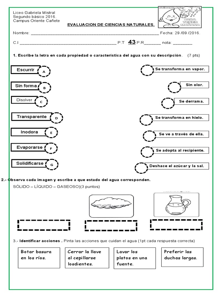 Ciclo Del Agua | PDF | Agua | Líquidos