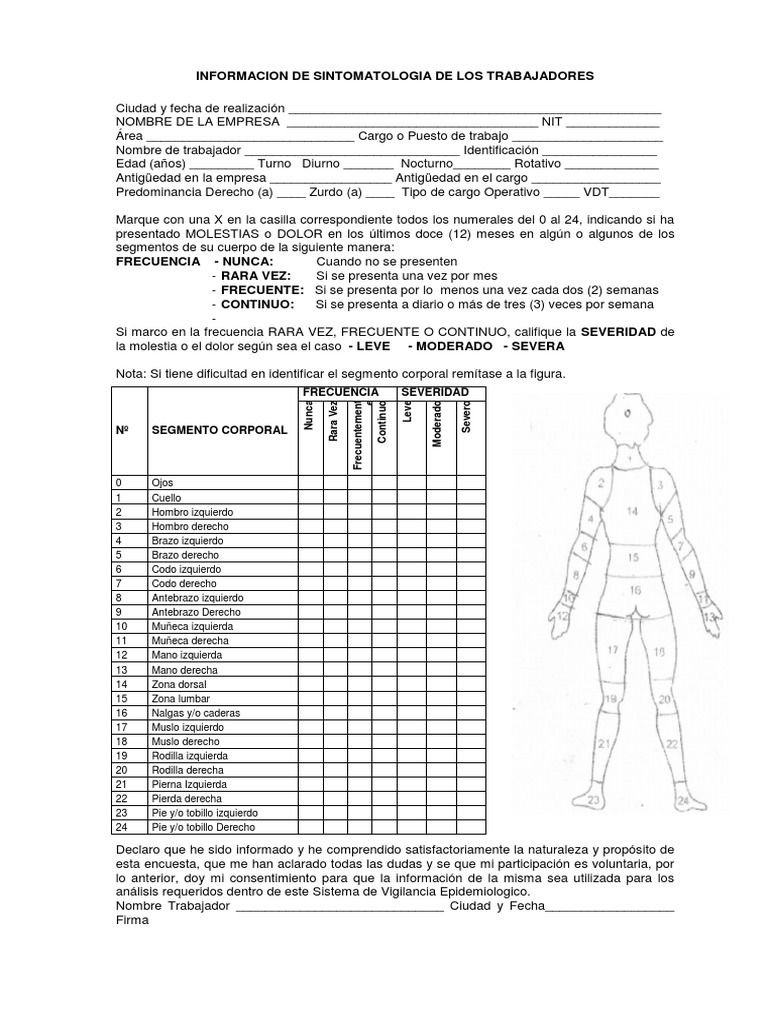 Encuesta Morbilidad Sentida | PDF | Extremidades (anatomía) | Sistema ...