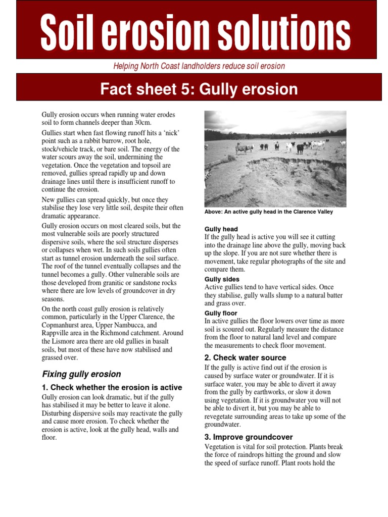 Fact Sheet 5 Gully Erosion | PDF | Erosion | Surface Runoff