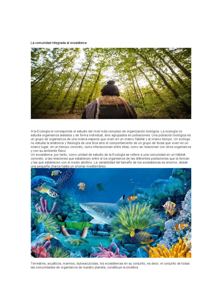 Comunidad y ecosistema integrados | PDF | Ecosistema | Ecología