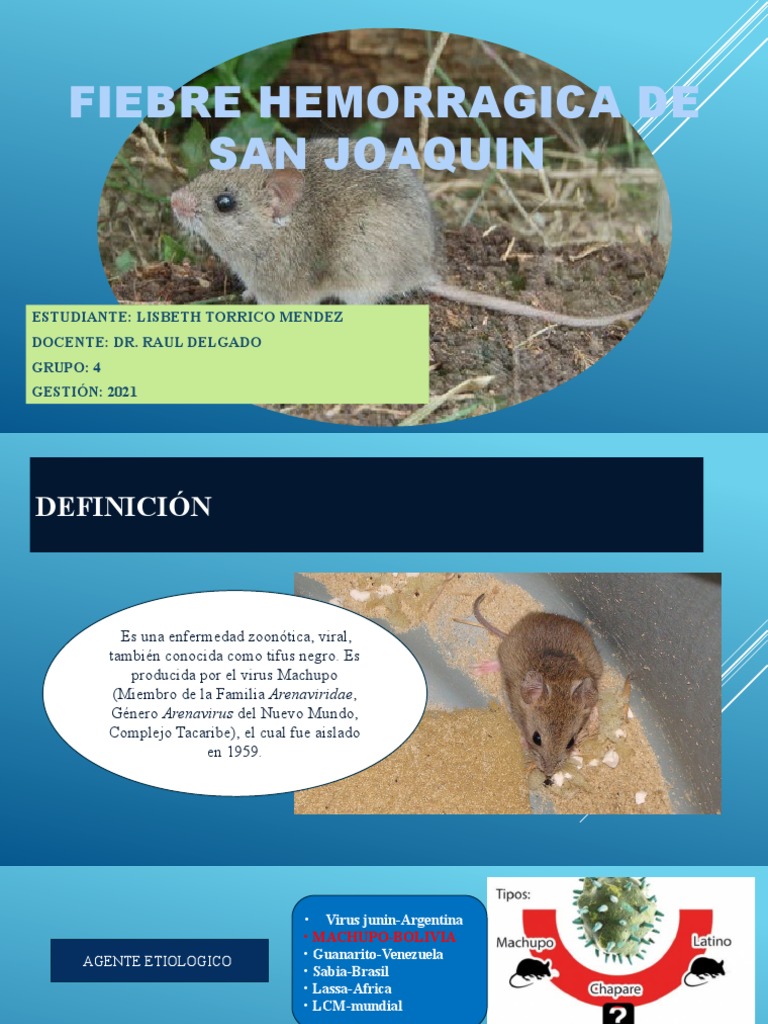 Un análisis completo de la Fiebre Hemorrágica de San Joaquín | PDF | Virus | Medicina