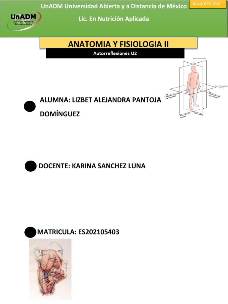 Afi2 U2 Atr Lipd | PDF | Riñón | Sistema reproductivo
