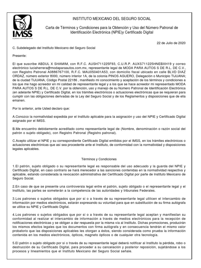 Carta de Terminos y Condiciones NPIE2 | PDF
