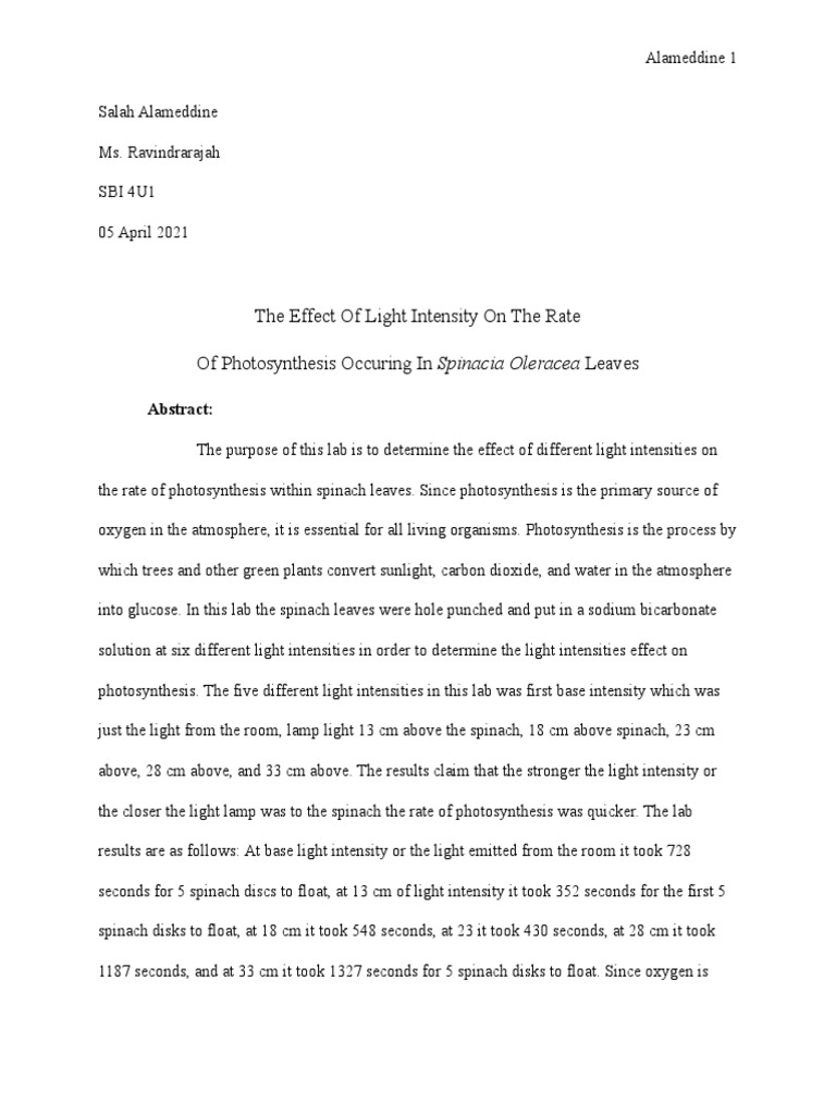 Spinach Lab Report | PDF | Photosynthesis | Leaf
