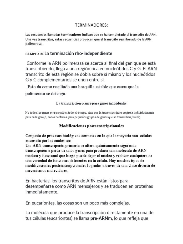 Que Son Terminadores en Adn Transcripción | PDF | Rna | Messenger Rna