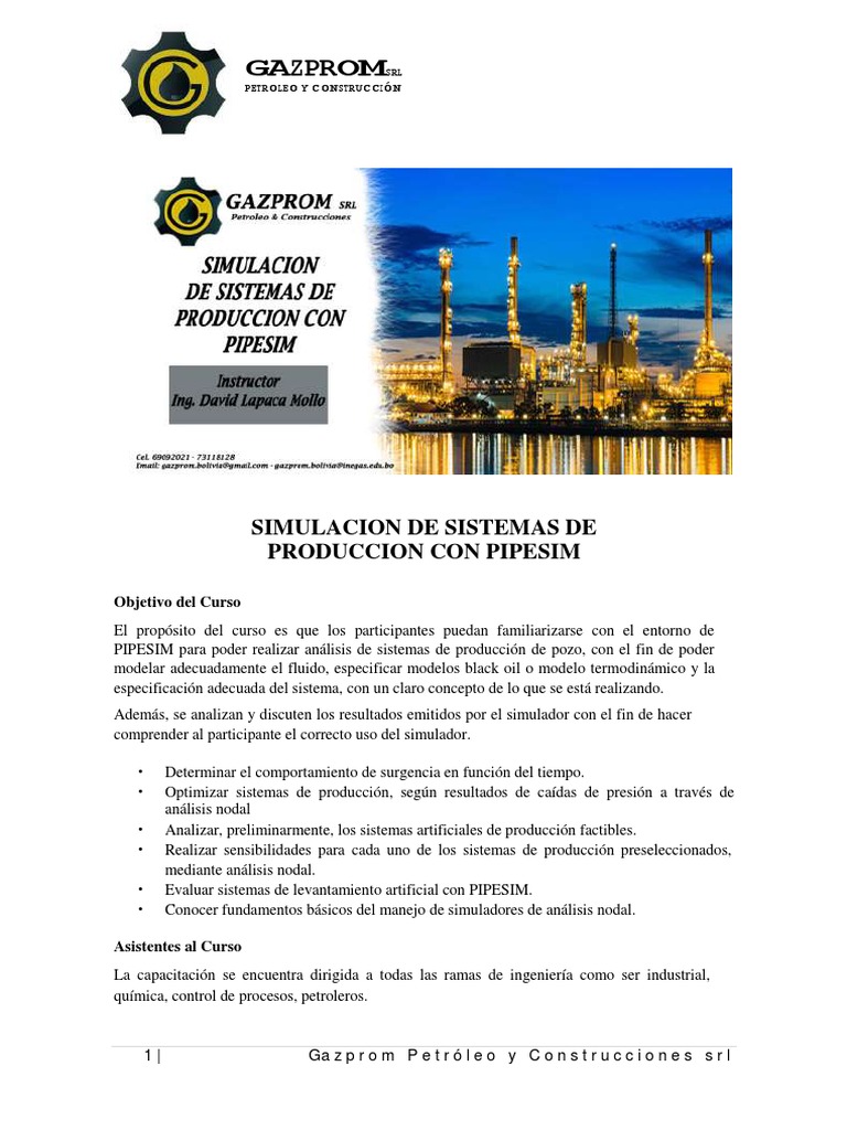 Pipesim PDF | PDF | Simulación | Ingeniería