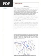 La Elastina | PDF | Colágeno | Bioquímica