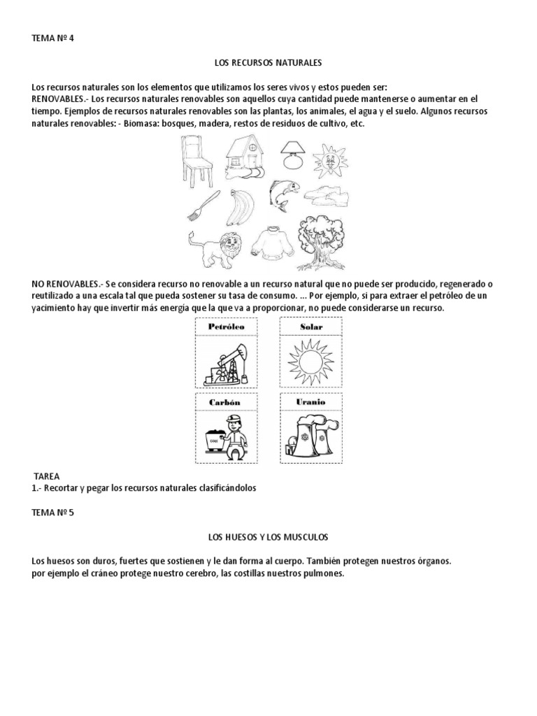Tema #4 Naturales | PDF