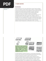 Incisión Rocky Davis | PDF | Medicina CLINICA | Anatomía