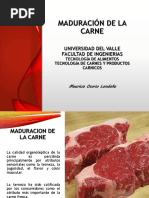 Proceso de Rigor Mortis y Alteraciones en La Calidad de La Carne | PDF ...