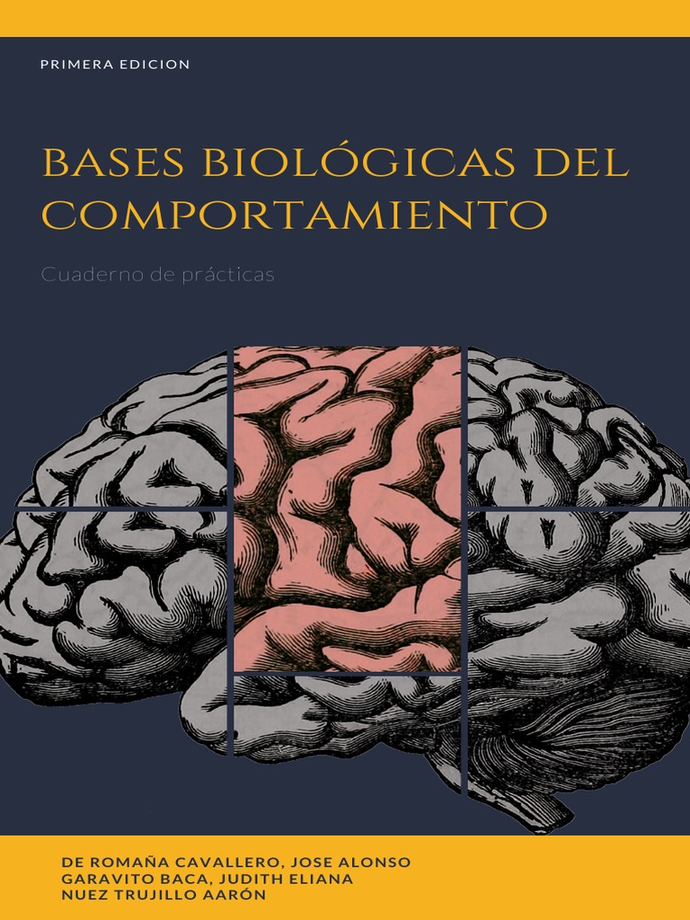 Cuaderno de Prácticas Bases Biológicas-1 | PDF | Sinapsis | Neurona
