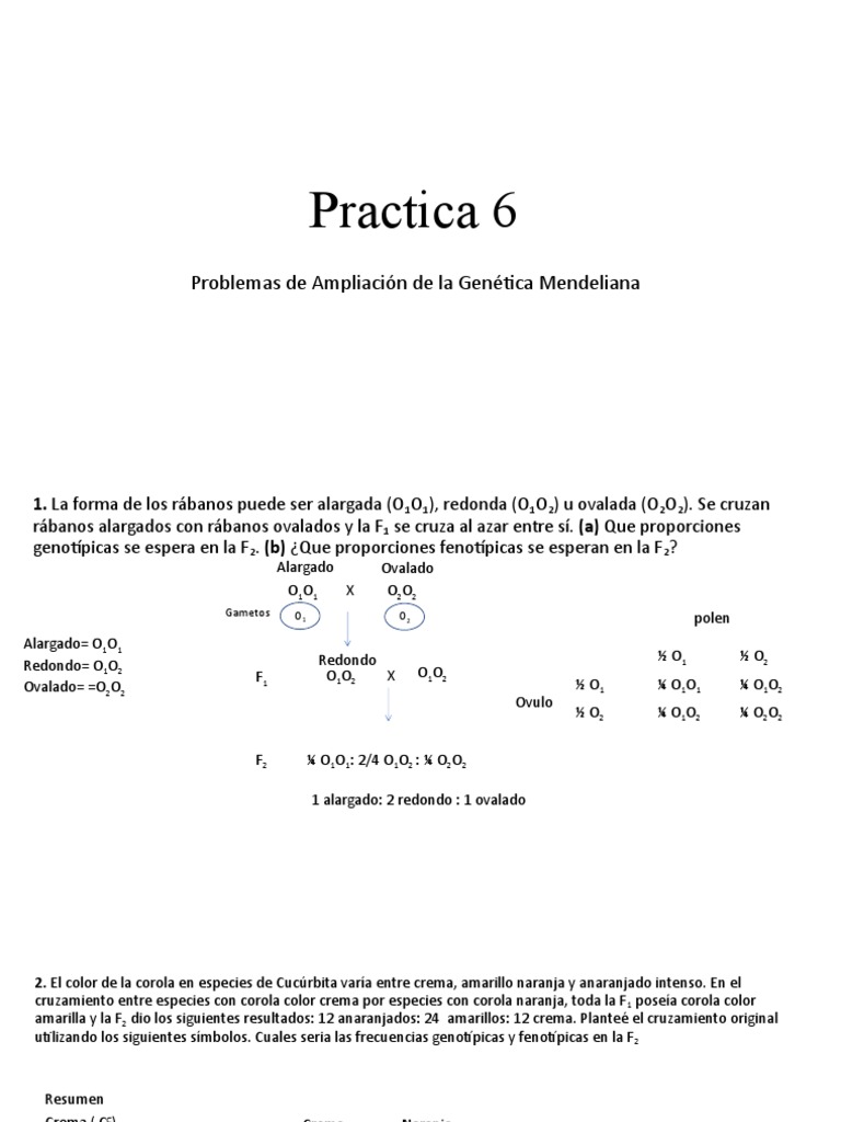 Practica 6 Ampliacion de La Genetica Mendeliana | PDF | Epistasis ...
