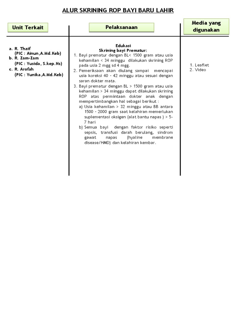 Alur Skrining Rpo Bayi Baru Lahir | PDF